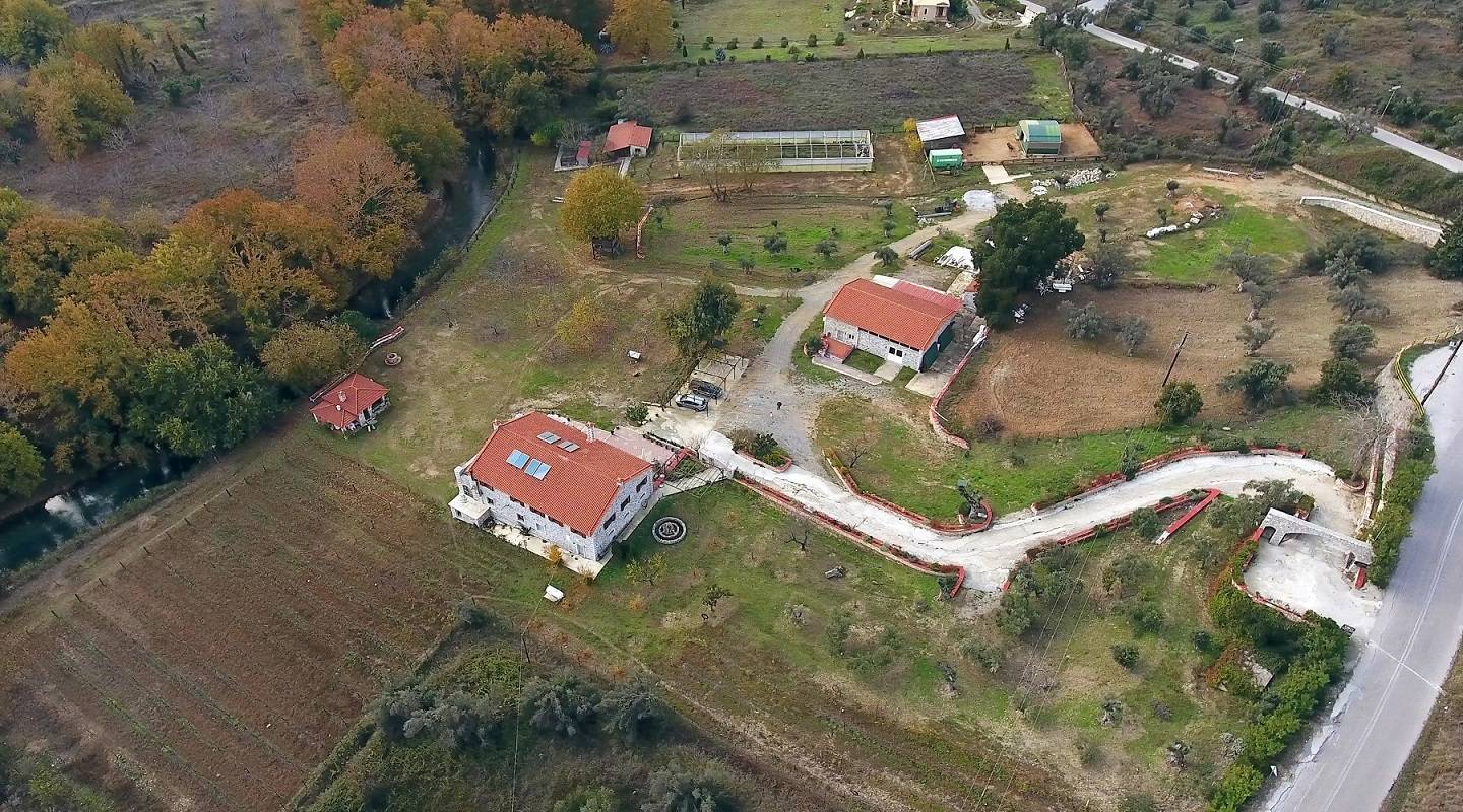 Our Blog - Biological Farma Sarlis - Sarlis Farm in Evia - Greece